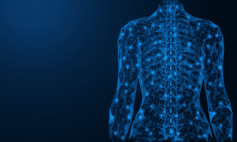 Spinal cord stimulation improves sensory link to prosthetic feet, cuts ...