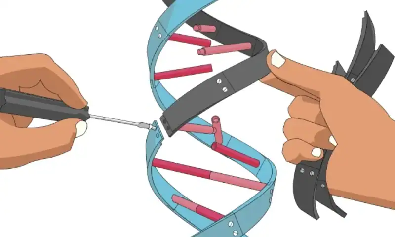 As Gene Therapy Endures ‘Cold Winter,’ FDA Leaders Promise Support ...