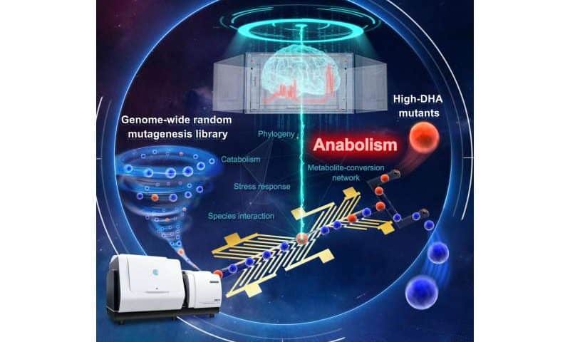 Single-cell sorting platform accelerates discovery of high-value ...